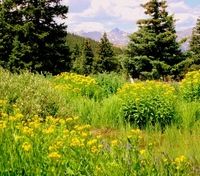 Woody and Mary's place