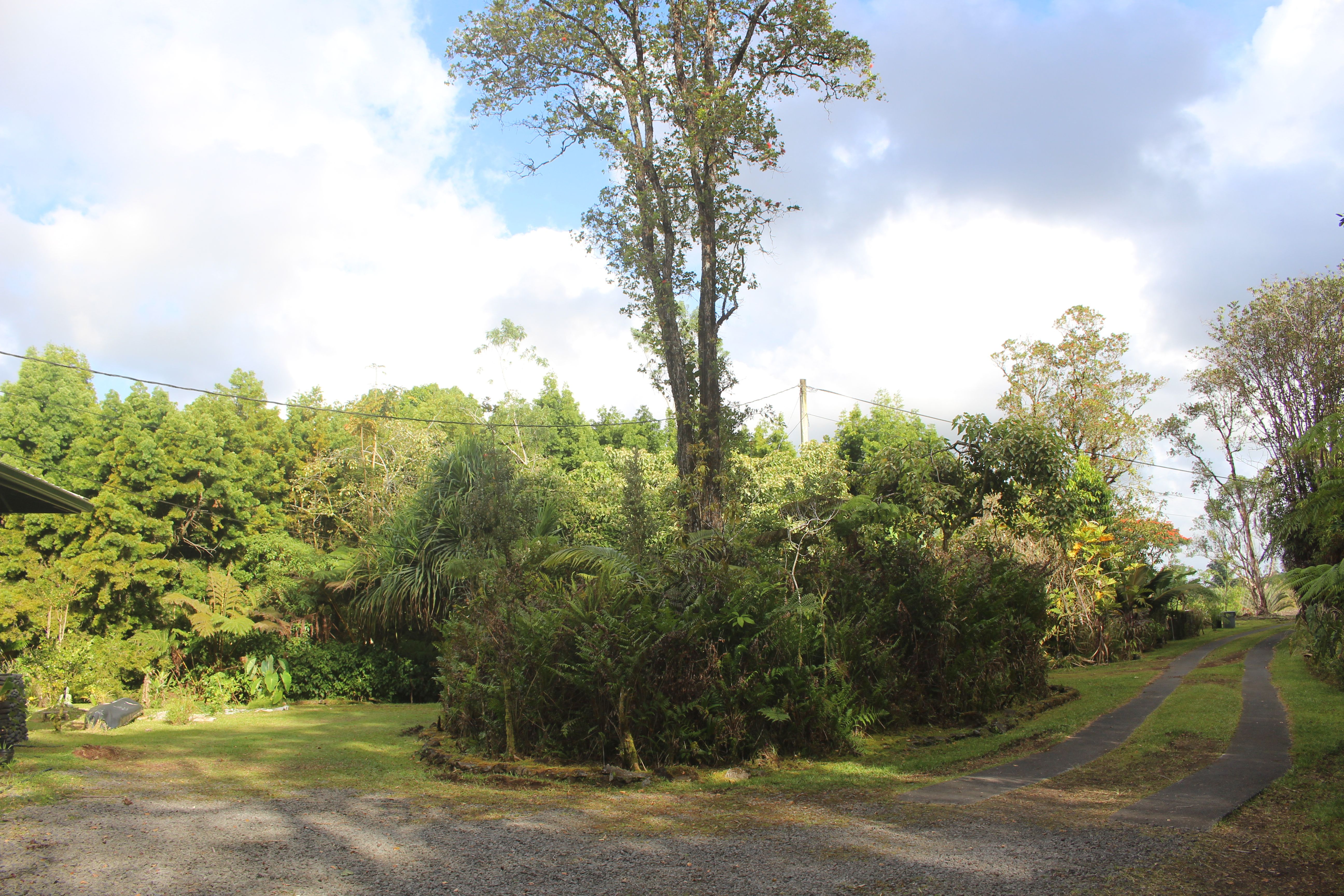 Uka Farm-Hawaii-Big Island-Family Home on Secluded 3 Acre Farm-15 minutes