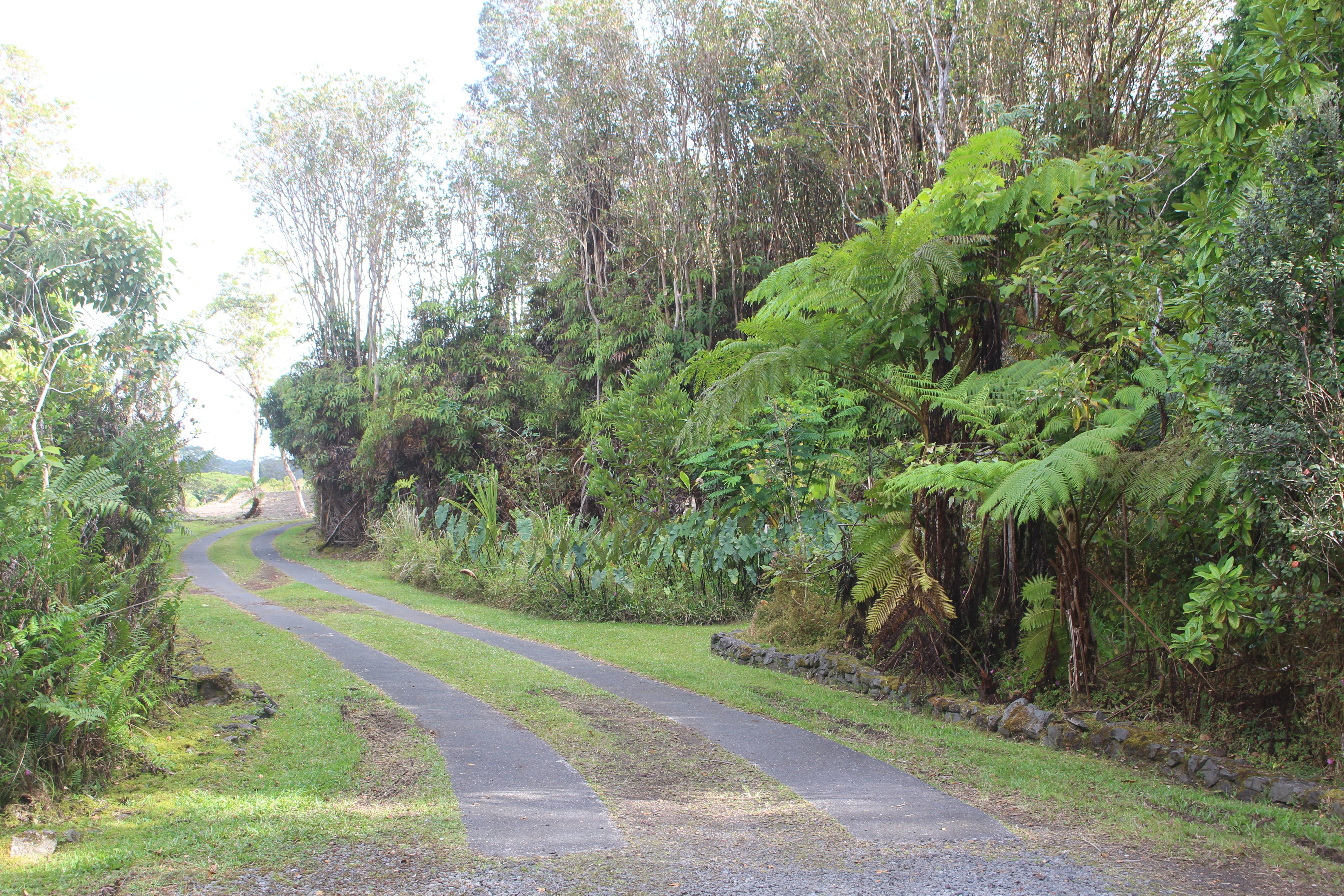Uka Farm-Hawaii-Big Island-Family Home on Secluded 3 Acre Farm-15 minutes