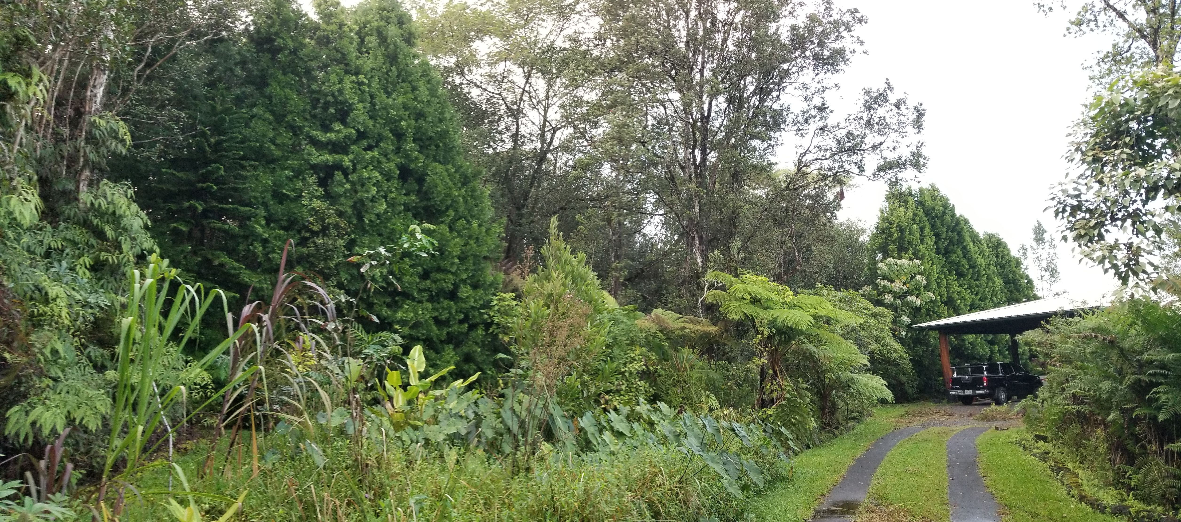 Uka Farm-Hawaii-Big Island-Family Home on Secluded 3 Acre Farm-15 minutes