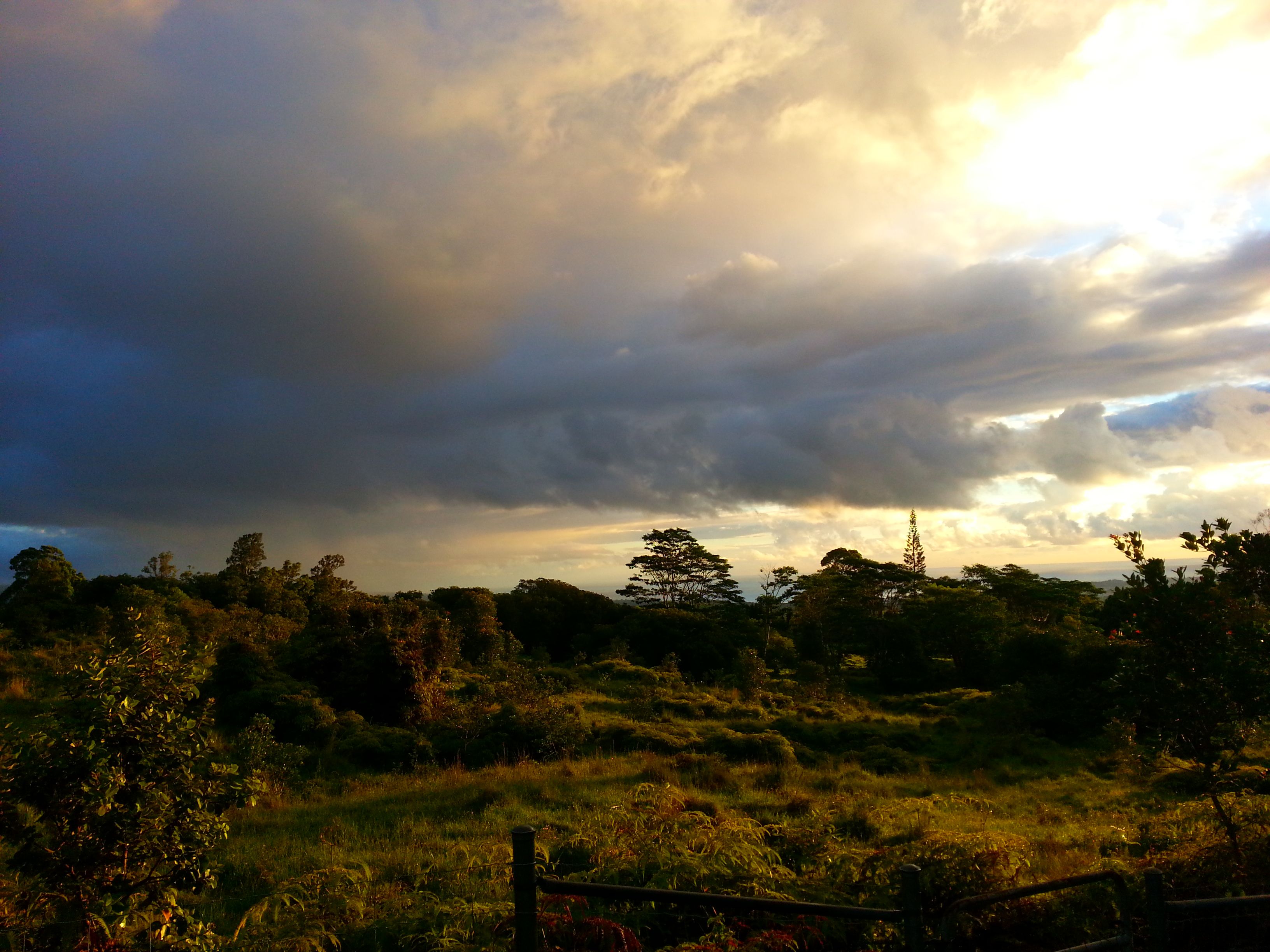 Uka Farm-Hawaii-Big Island-Family Home on Secluded 3 Acre Farm-15 minutes