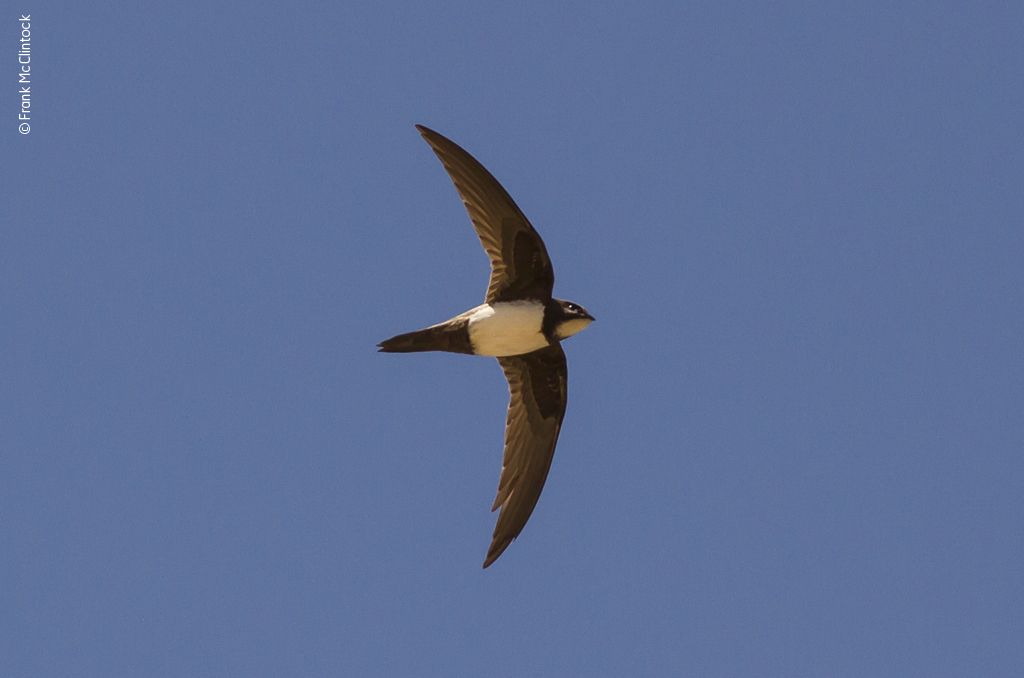 SW Portugal - Mer, nature et randonnnée...
