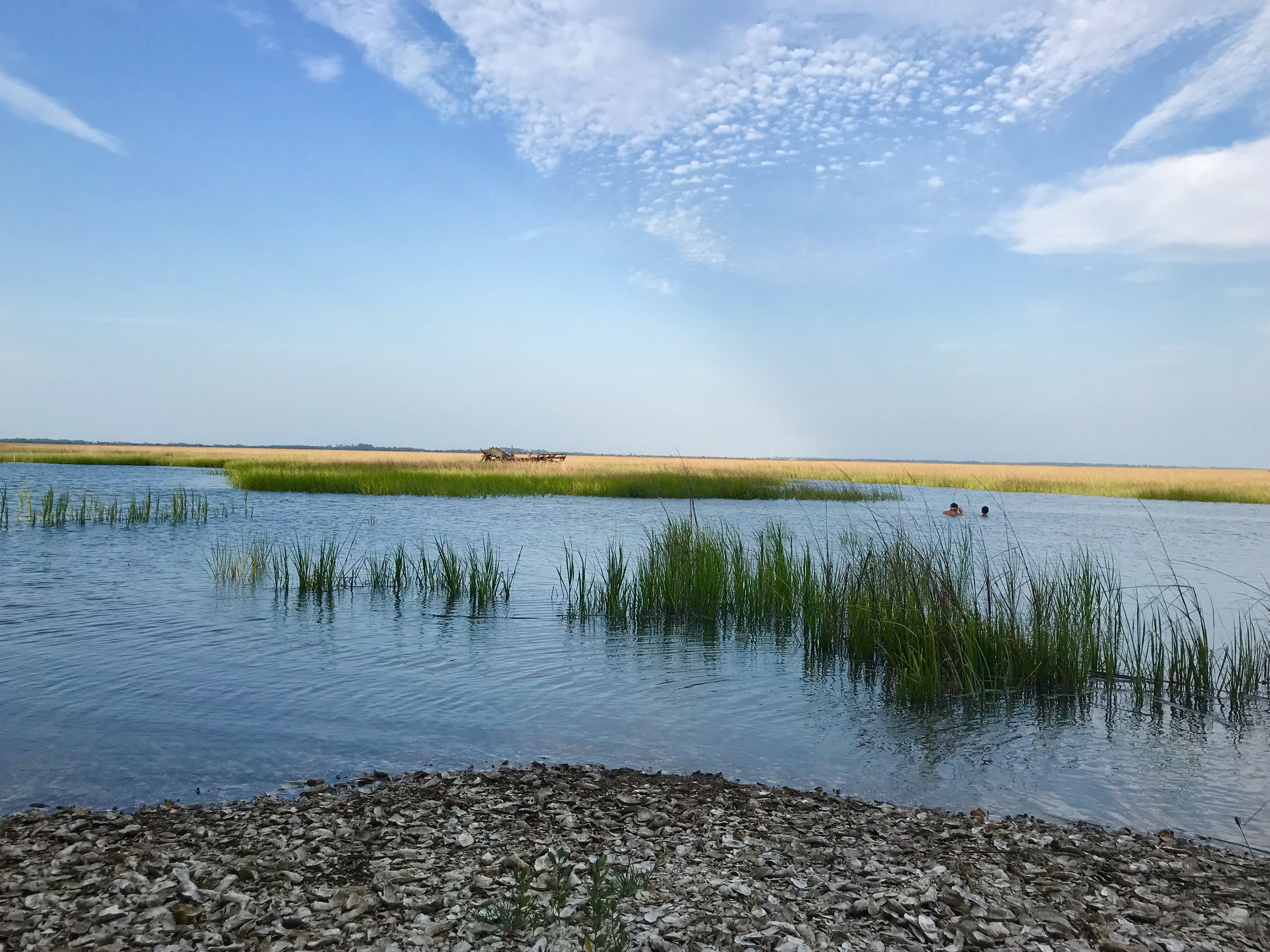 Savannah Low Country Living On Tidal Creek with Sweeping Views